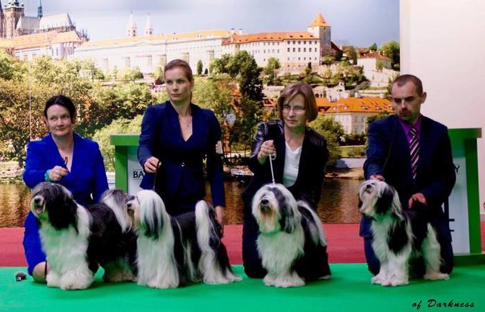 O PLEMENI :: Zestodulek