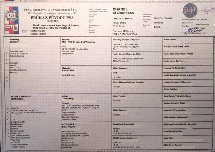 Chanel of Darkness :: Zestodulek