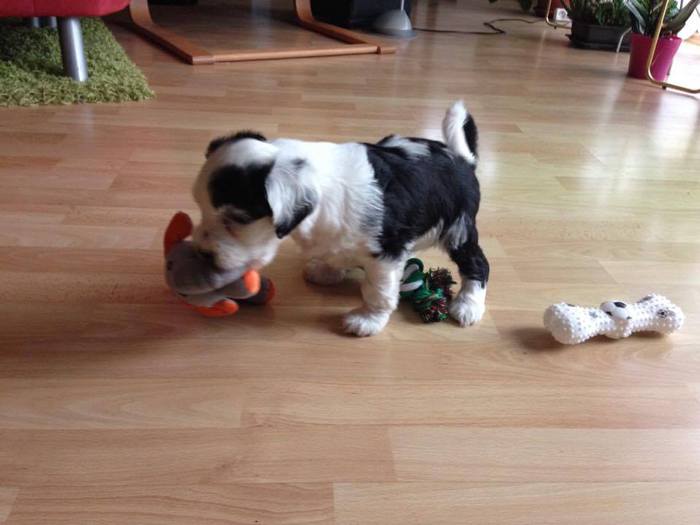 o nás :: Zestodulek